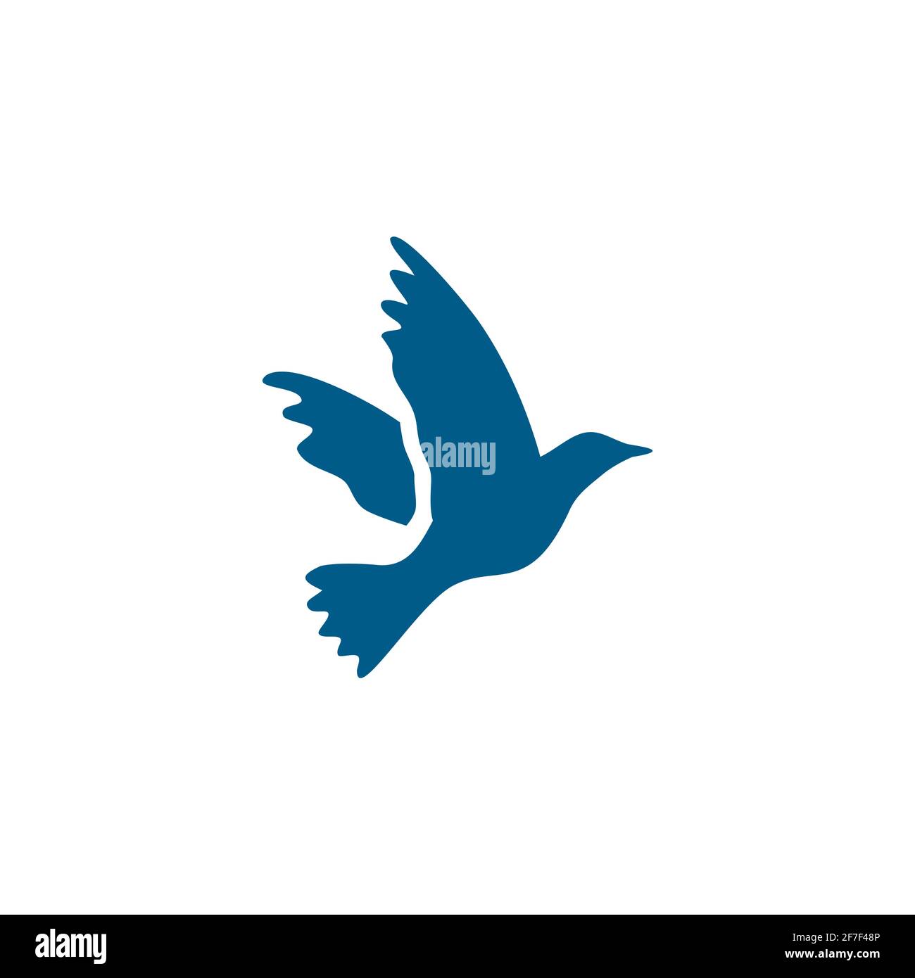 Blue swallow pigeon Stock Vector Images - Alamy