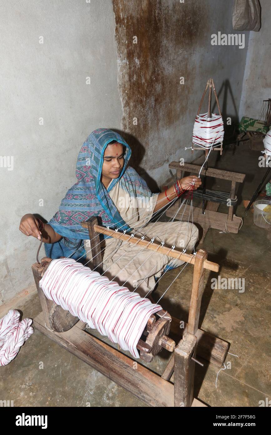 Lady from Mahulia village spinning yarn on machine, Cuttack district ...