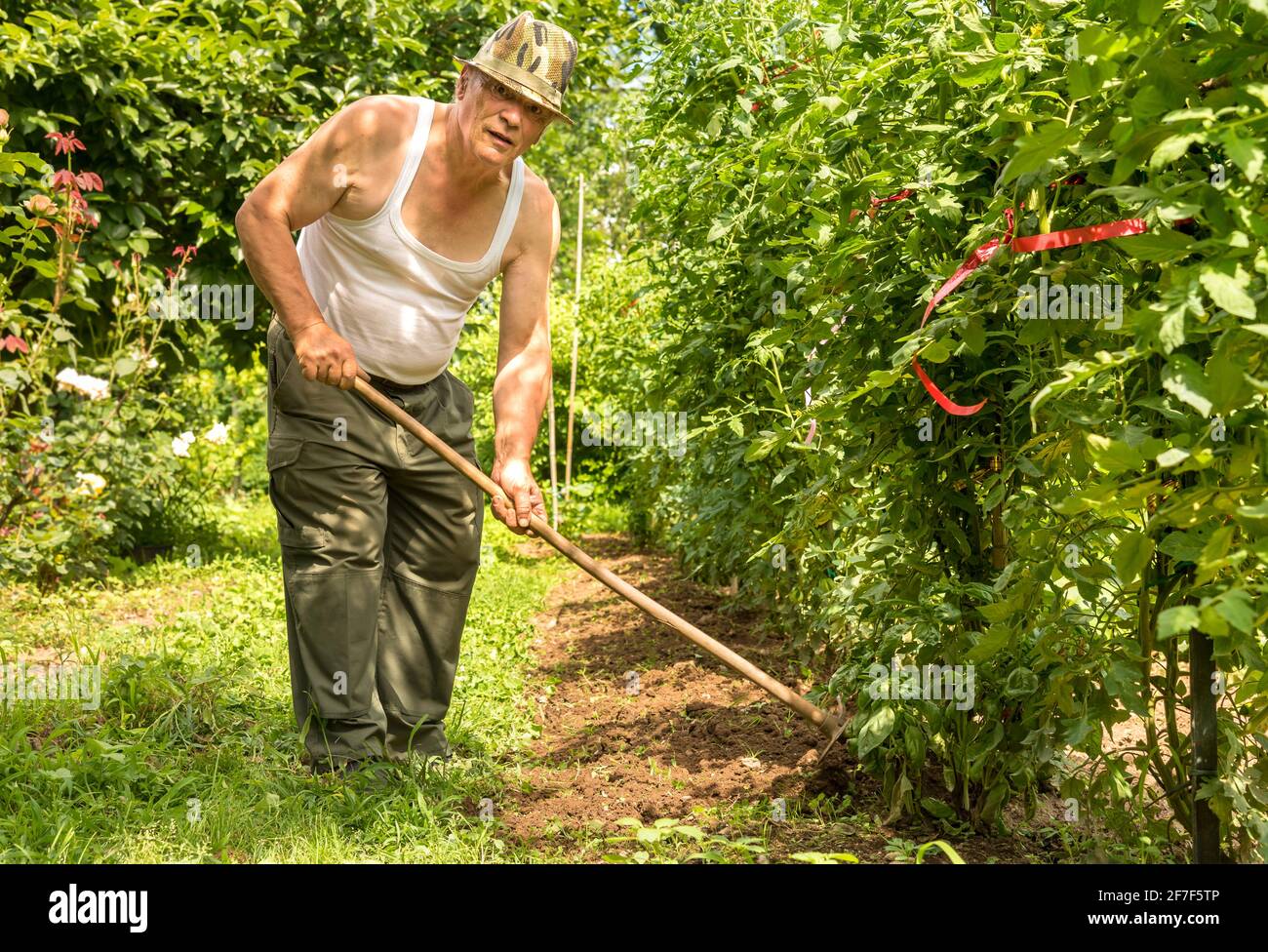 Hoeing soil hi-res stock photography and images - Alamy