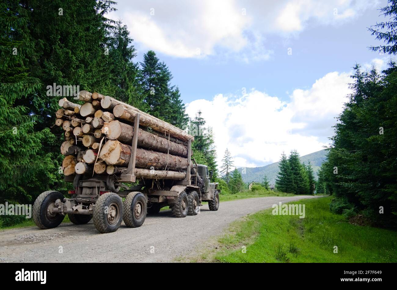 Loaded timber truck transports logs in the forest. Timber ...