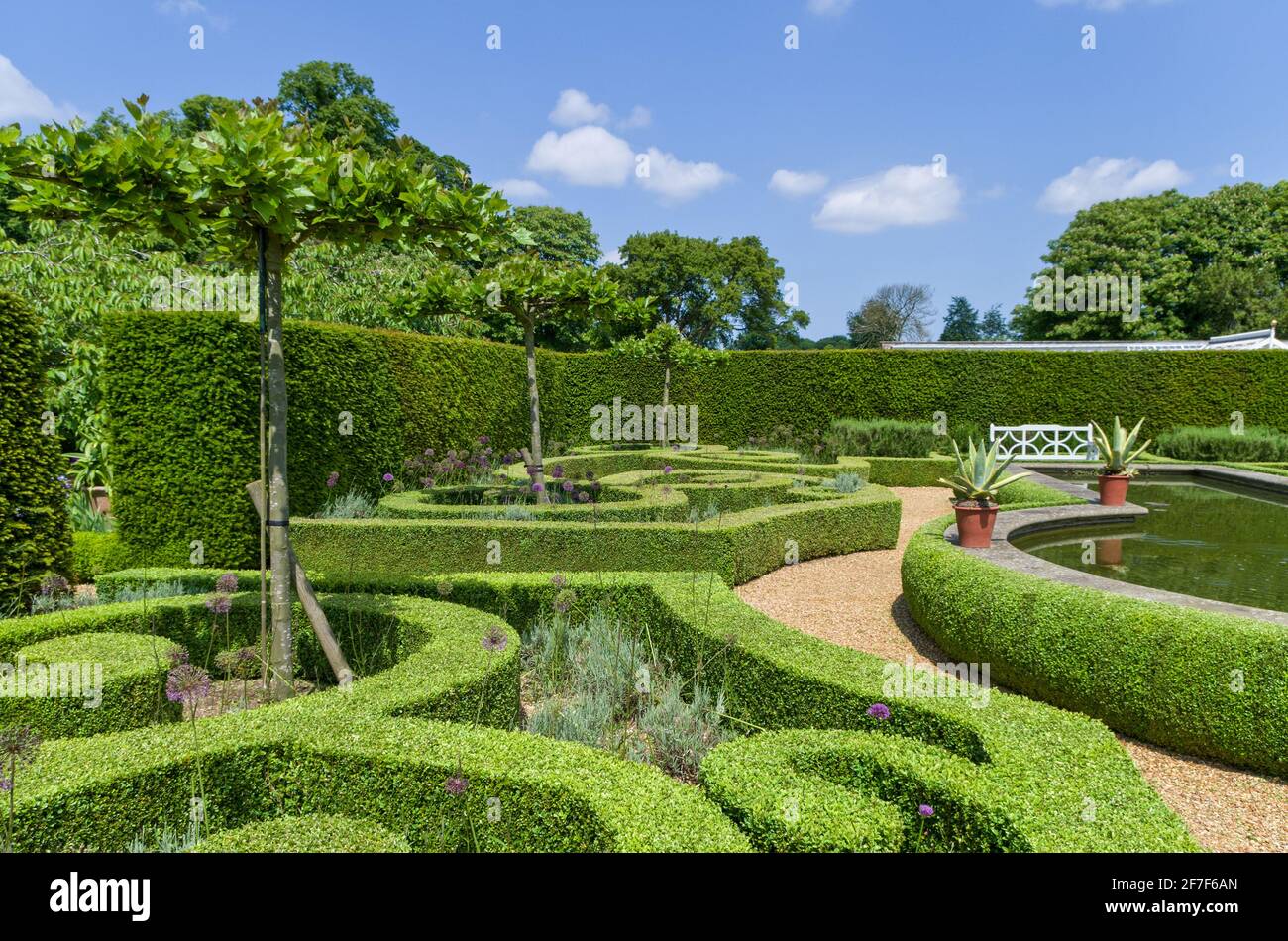 Box hedges hi-res stock photography and images - Alamy