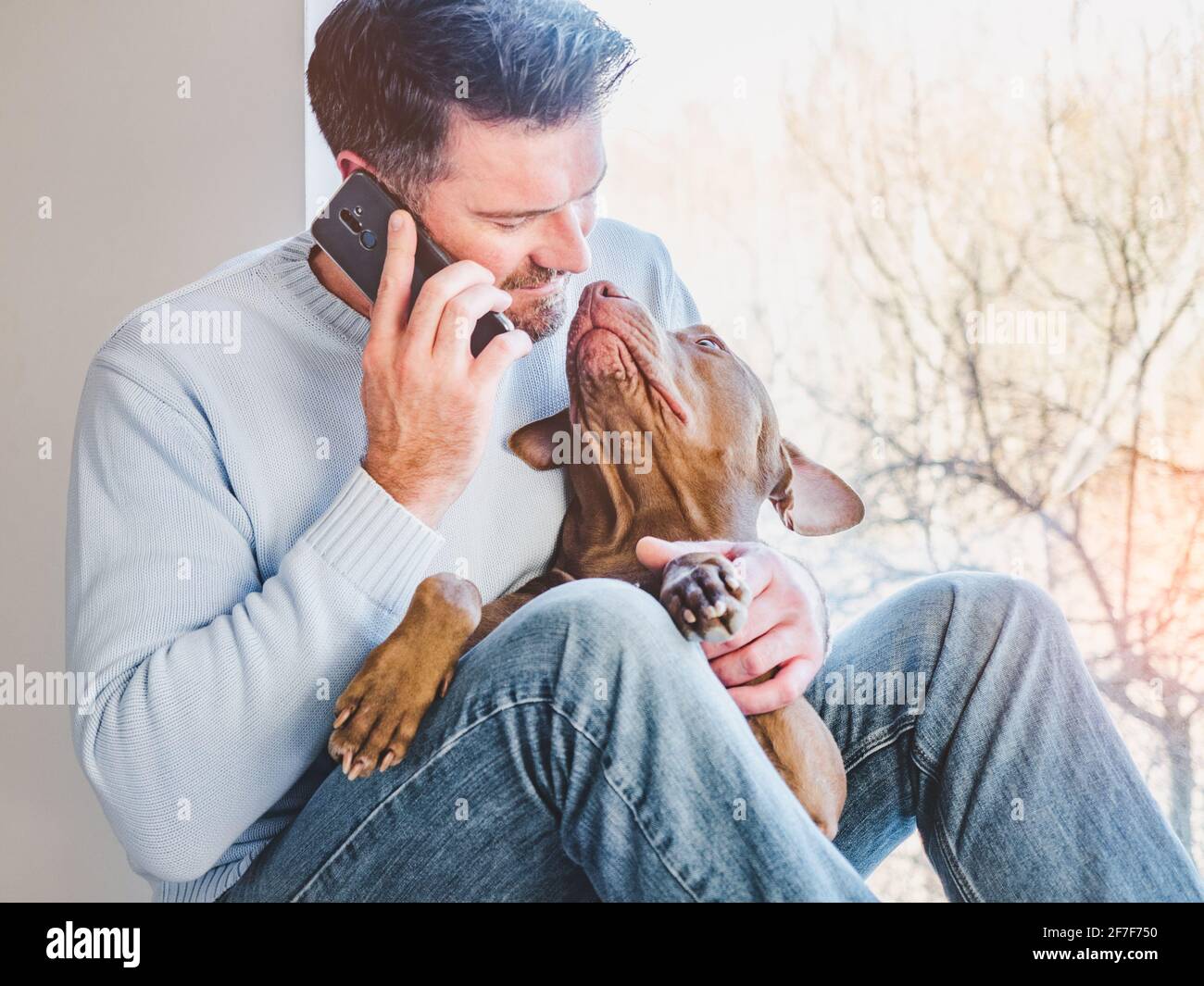 Handsome man and a charming puppy. Close-up, indoors. Studio photo ...