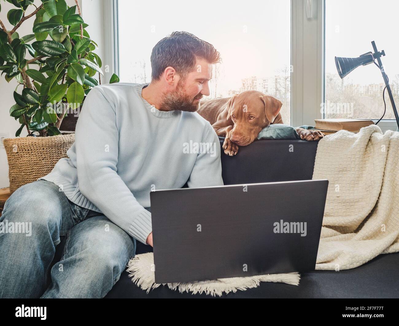 Handsome man and a charming puppy. Close-up, indoors. Studio photo ...