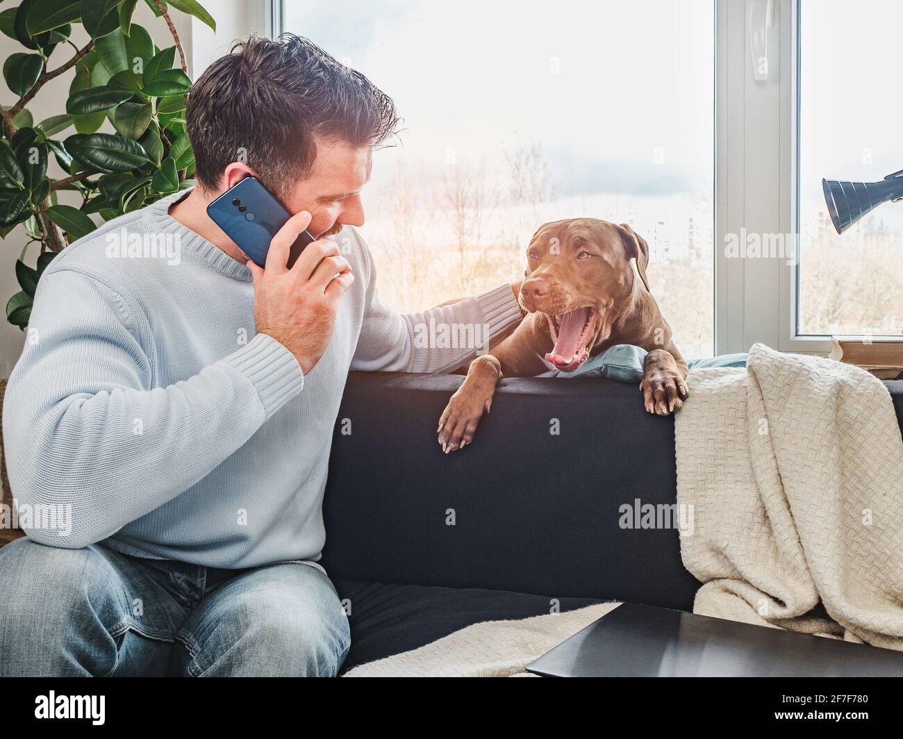 Handsome man and a charming puppy. Close-up, indoors. Studio photo ...