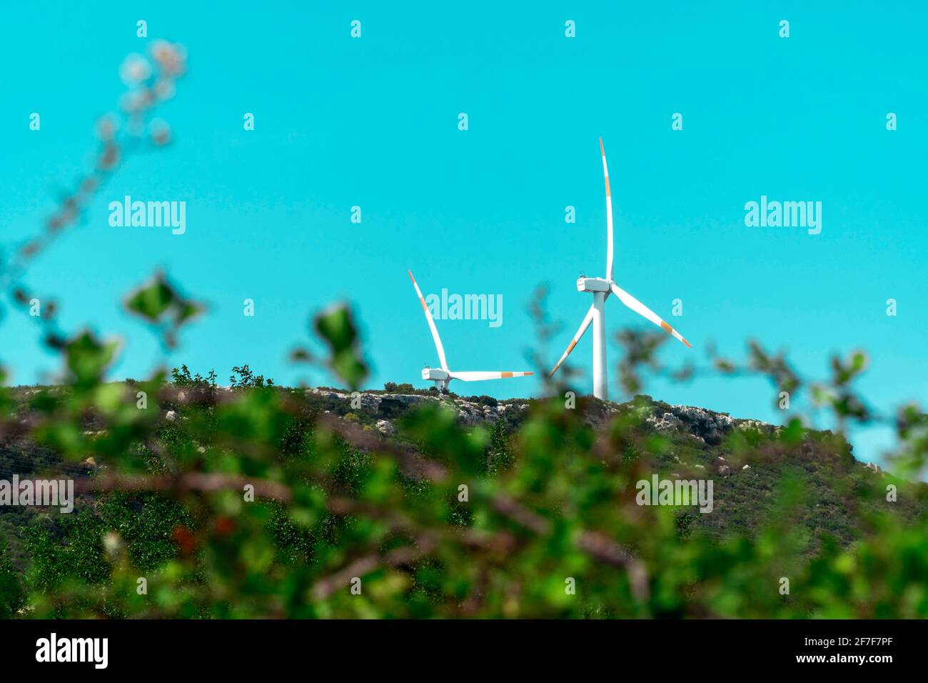Conservation climate change hi-res stock photography and images - Alamy
