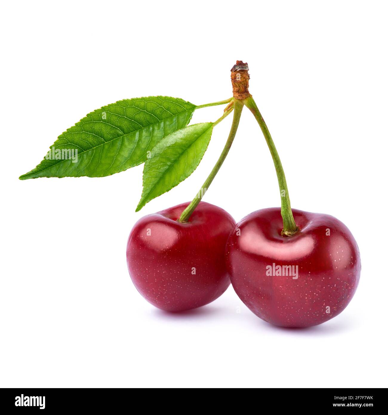 sweet cherry fruits isolated on white background Stock Photo - Alamy