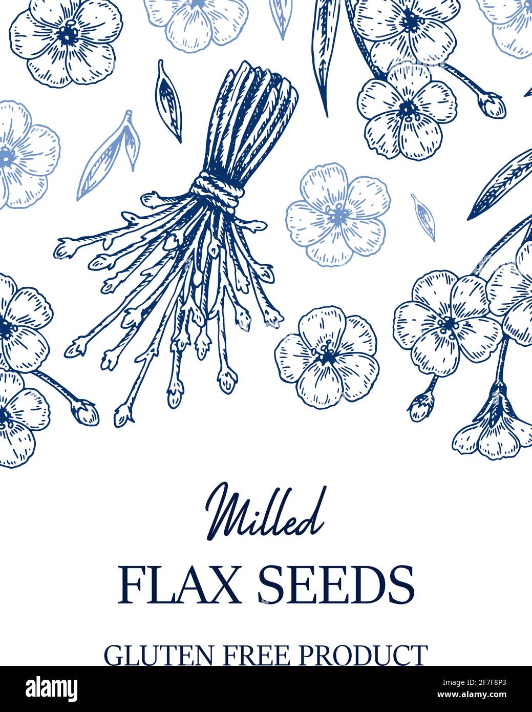 Hand drawn flax vertical design. Vector illustration in sketch style ...