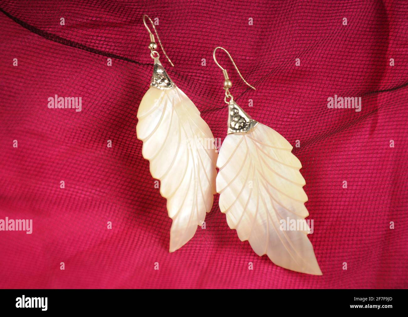 Ear shells hi-res stock photography and images - Alamy