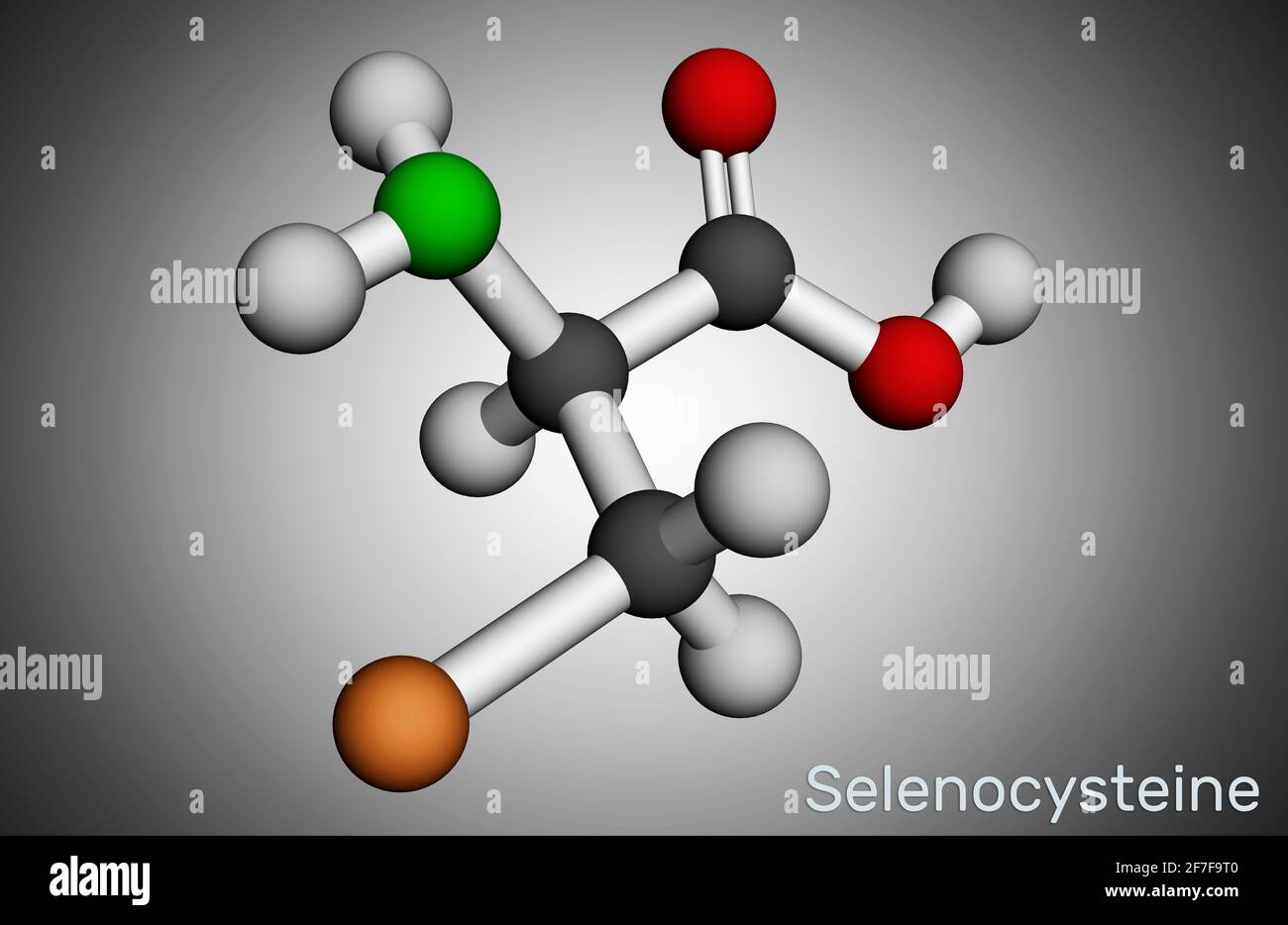 Selenocysteine amino acid molecule hi-res stock photography and images ...