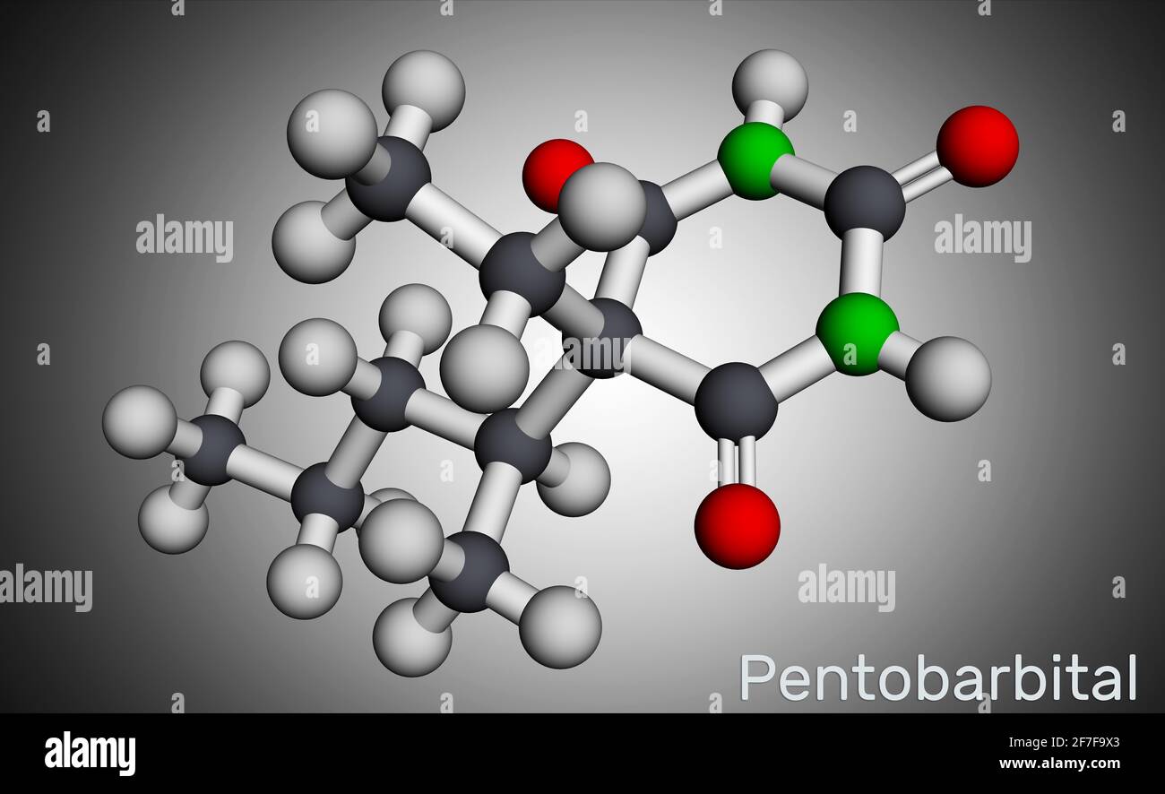 Pentobarbital hi-res stock photography and images - Alamy