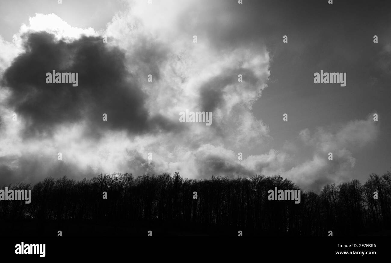 Glimpses of ocean Black and White Stock Photos & Images - Alamy