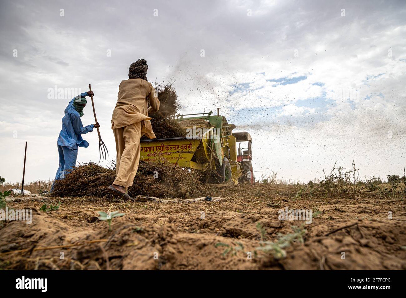 indian farmer harvesting crop in thrashing machine,beautiful clouds in ...