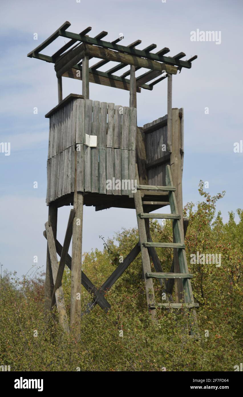 a wooden observation post for hunters Stock Photo - Alamy