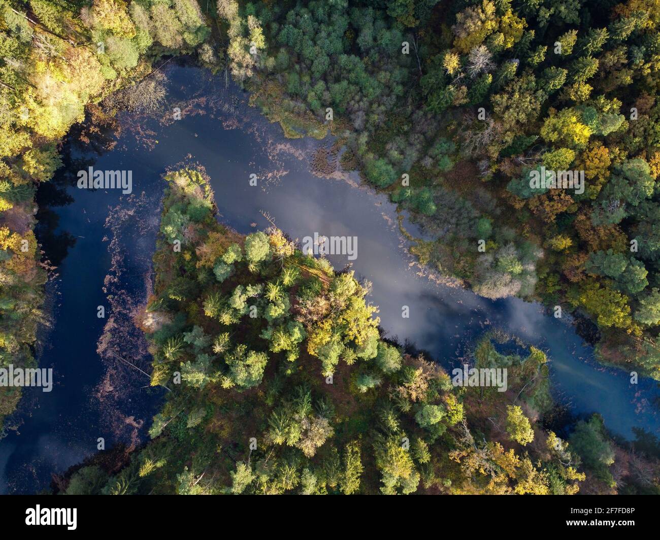 Aerial view conifer forest forest hi-res stock photography and images ...