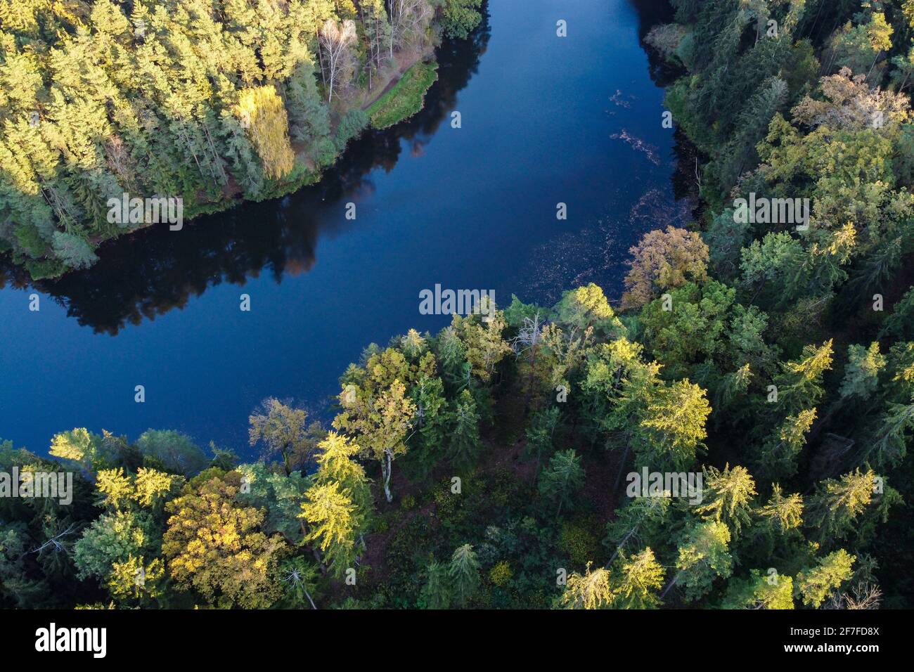 Summer forest landscape with riverbed, aerial view. Blue river water ...