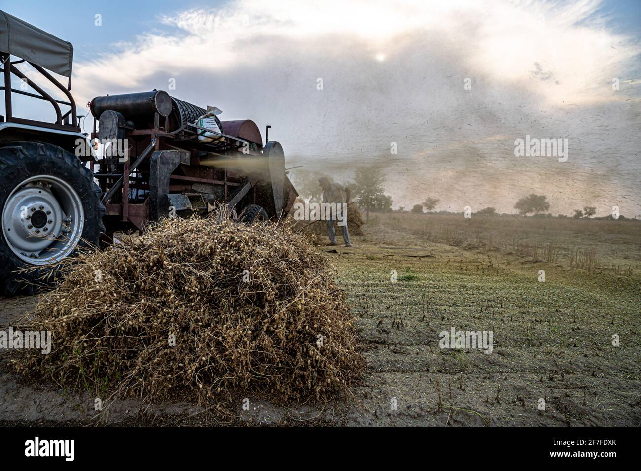 indian farmer harvesting crop in thrashing machine,beautiful clouds in ...