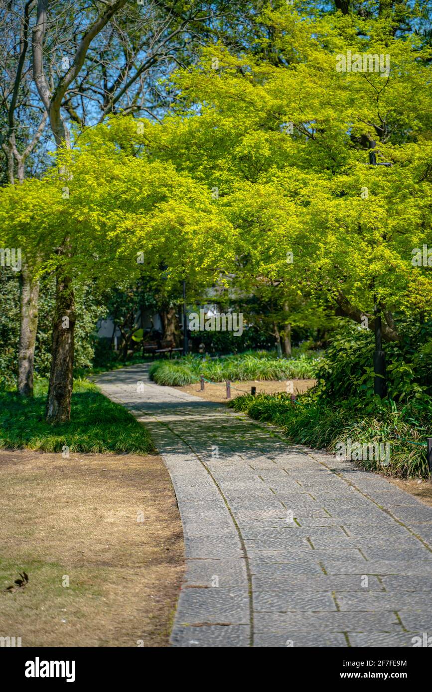 Spring west lake hangzhou zhejiang hi-res stock photography and images ...