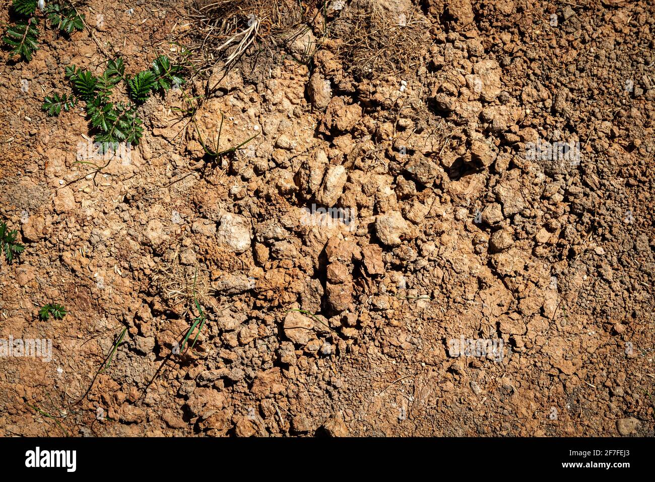 Abstract ground texture with clumps. Soil background Stock Photo - Alamy