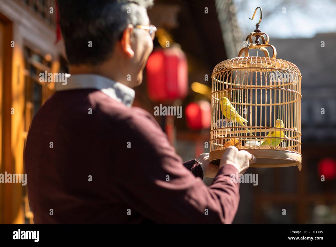 Men man holding bird cage hi-res stock photography and images - Alamy