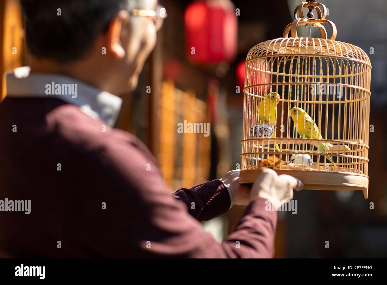 Person holding bird cage hi-res stock photography and images - Alamy