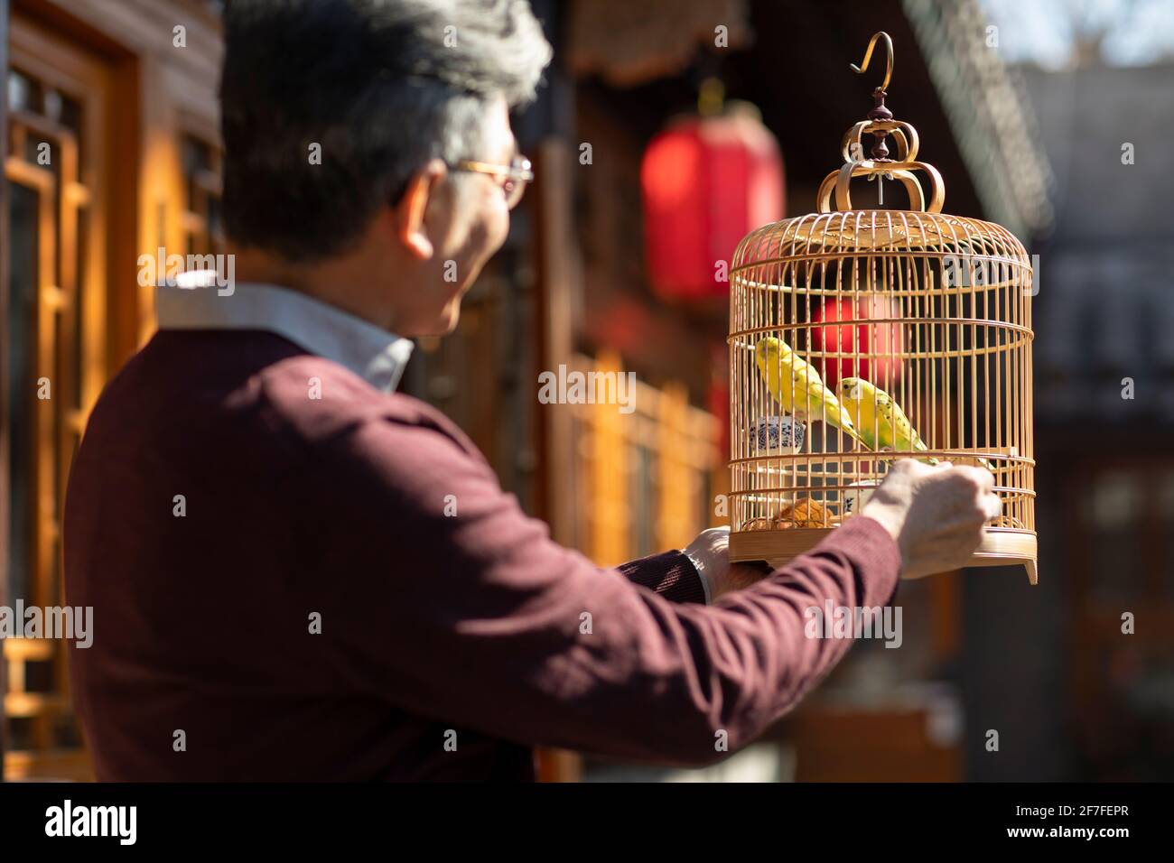 Person holding bird cage hi-res stock photography and images - Alamy