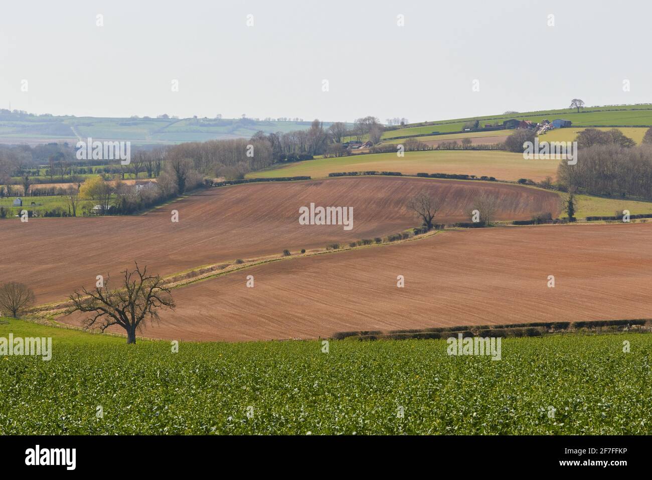 Bluestone heath road hi-res stock photography and images - Alamy