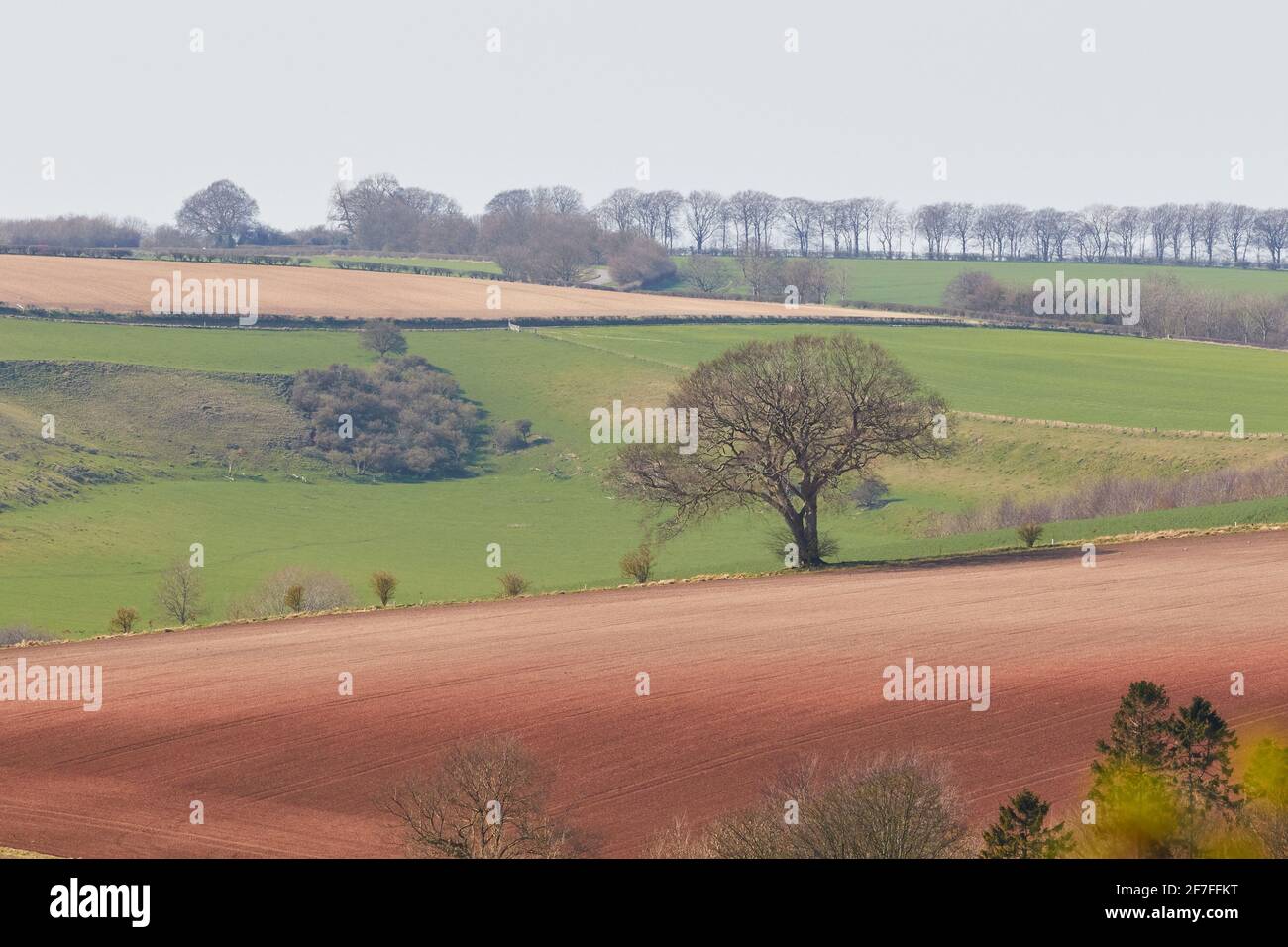 Bluestone heath road hi-res stock photography and images - Alamy