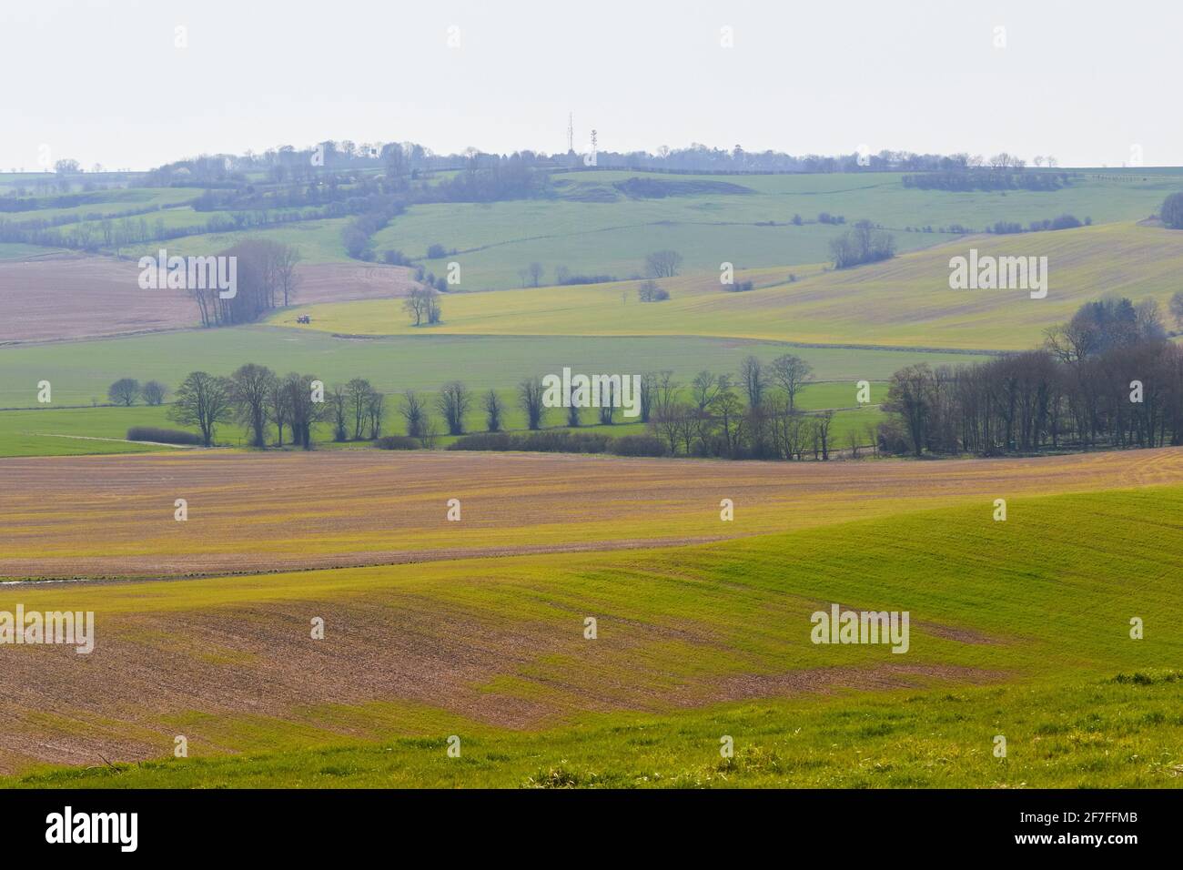Bluestone heath road hi-res stock photography and images - Alamy