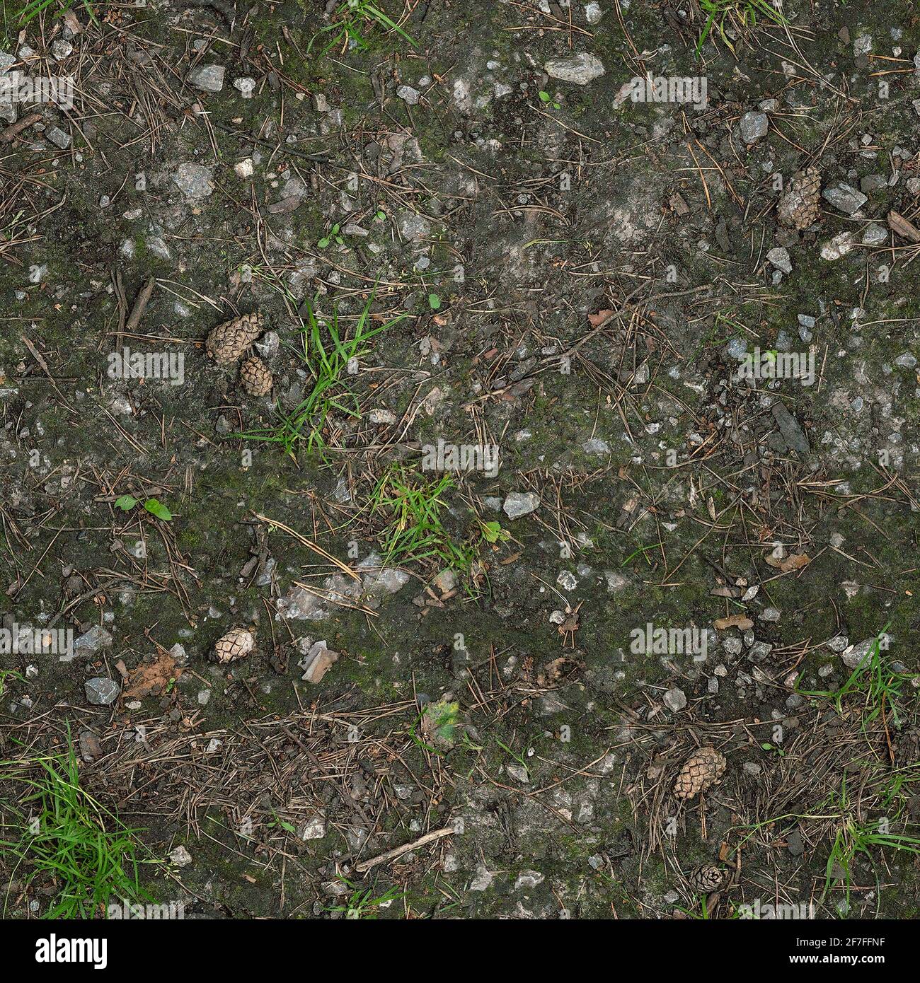Rainforest Ground Seamless