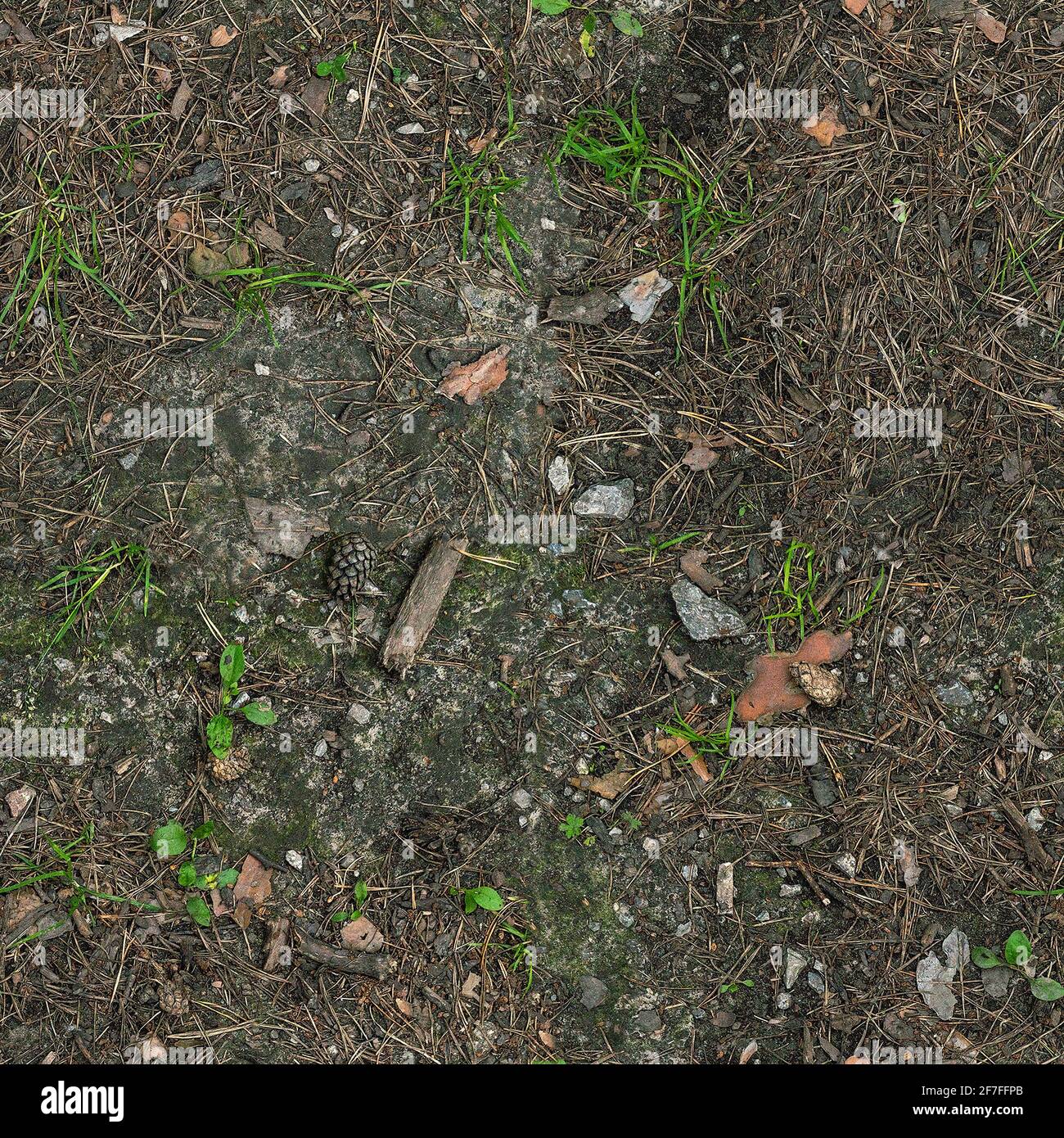 Rainforest Ground Seamless