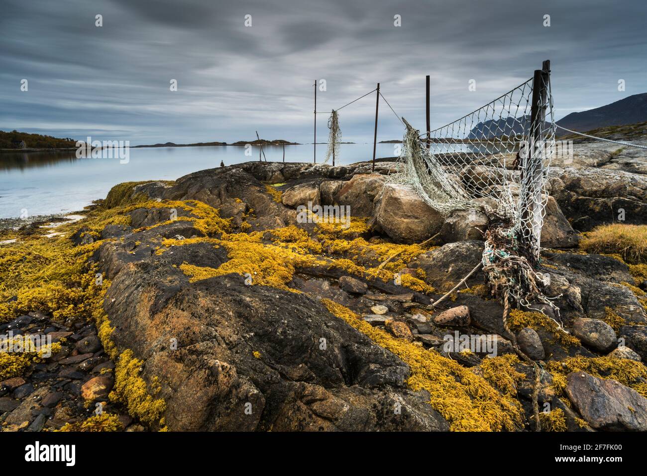 Seaweed nets hi-res stock photography and images - Alamy