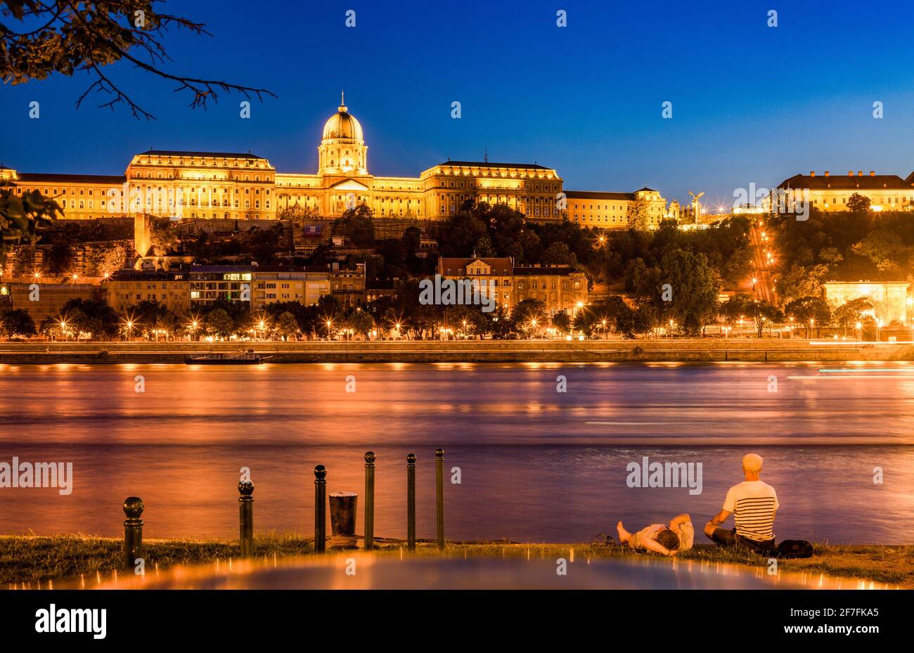 Buda Castle (Royal Palace) at night, Budapest, Romania, Europe Stock ...