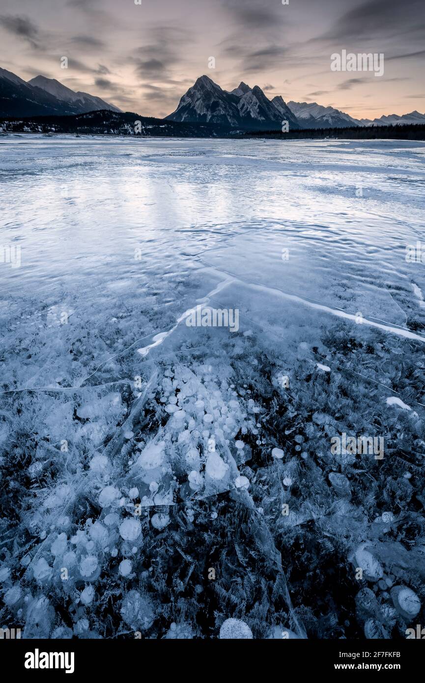 Abraham Lake Bubbles High Resolution Stock Photography and Images - Alamy