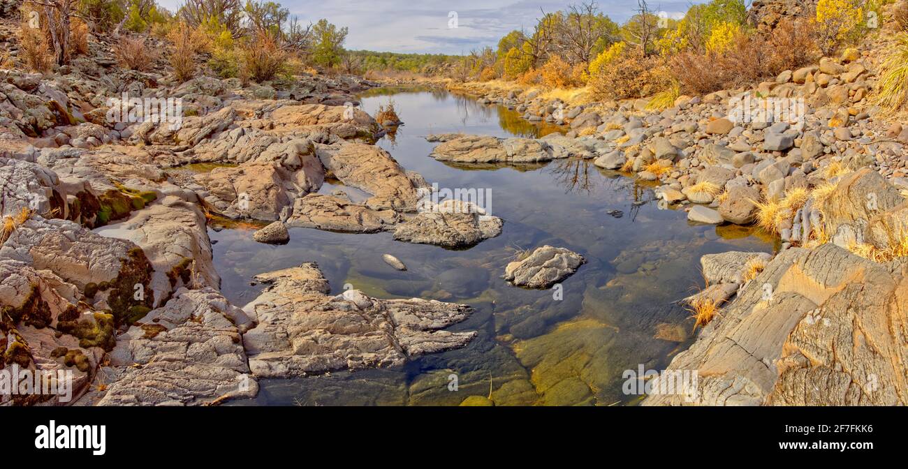 Devil dog hi-res stock photography and images - Alamy