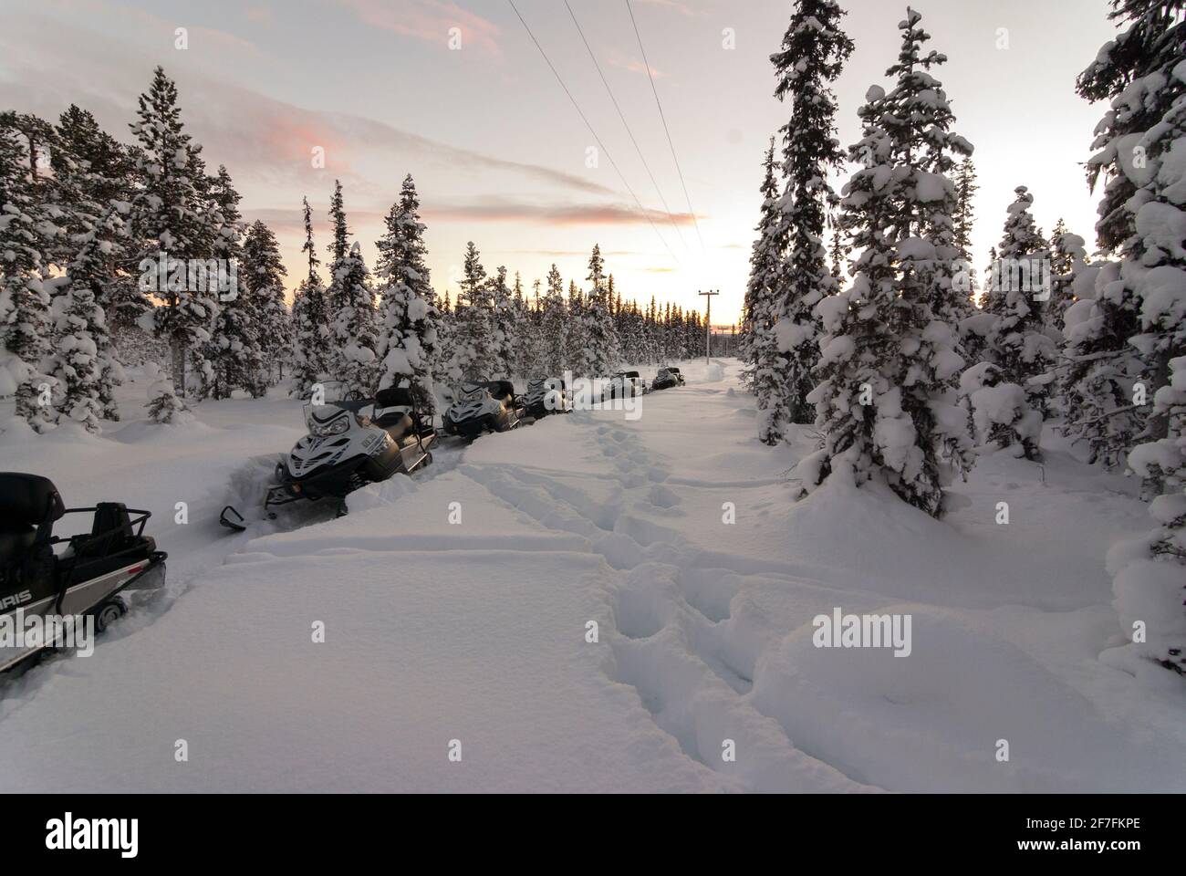 A line of snowmobiles, parked in deep snow, amongst snow laden conifers ...