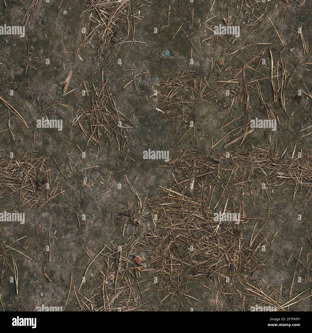 Seamless forest gravel dirty ground texture Stock Photo - Alamy