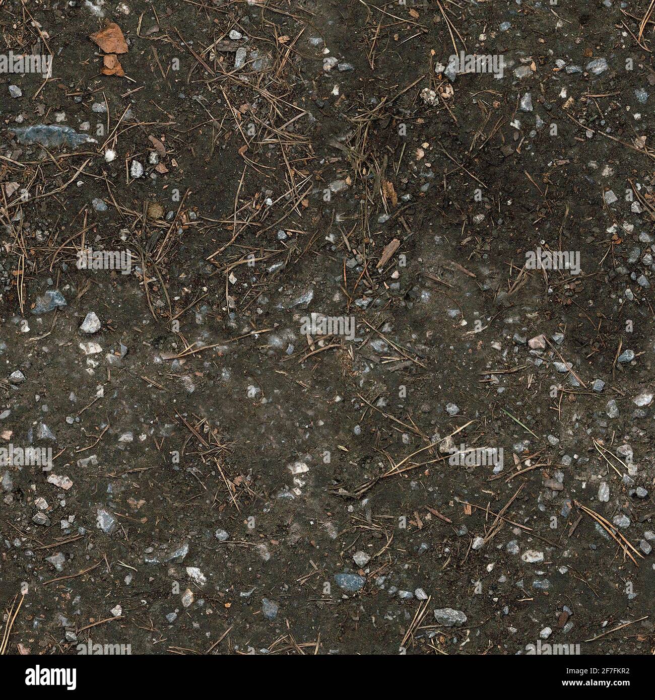Seamless forest gravel dirty ground texture Stock Photo - Alamy
