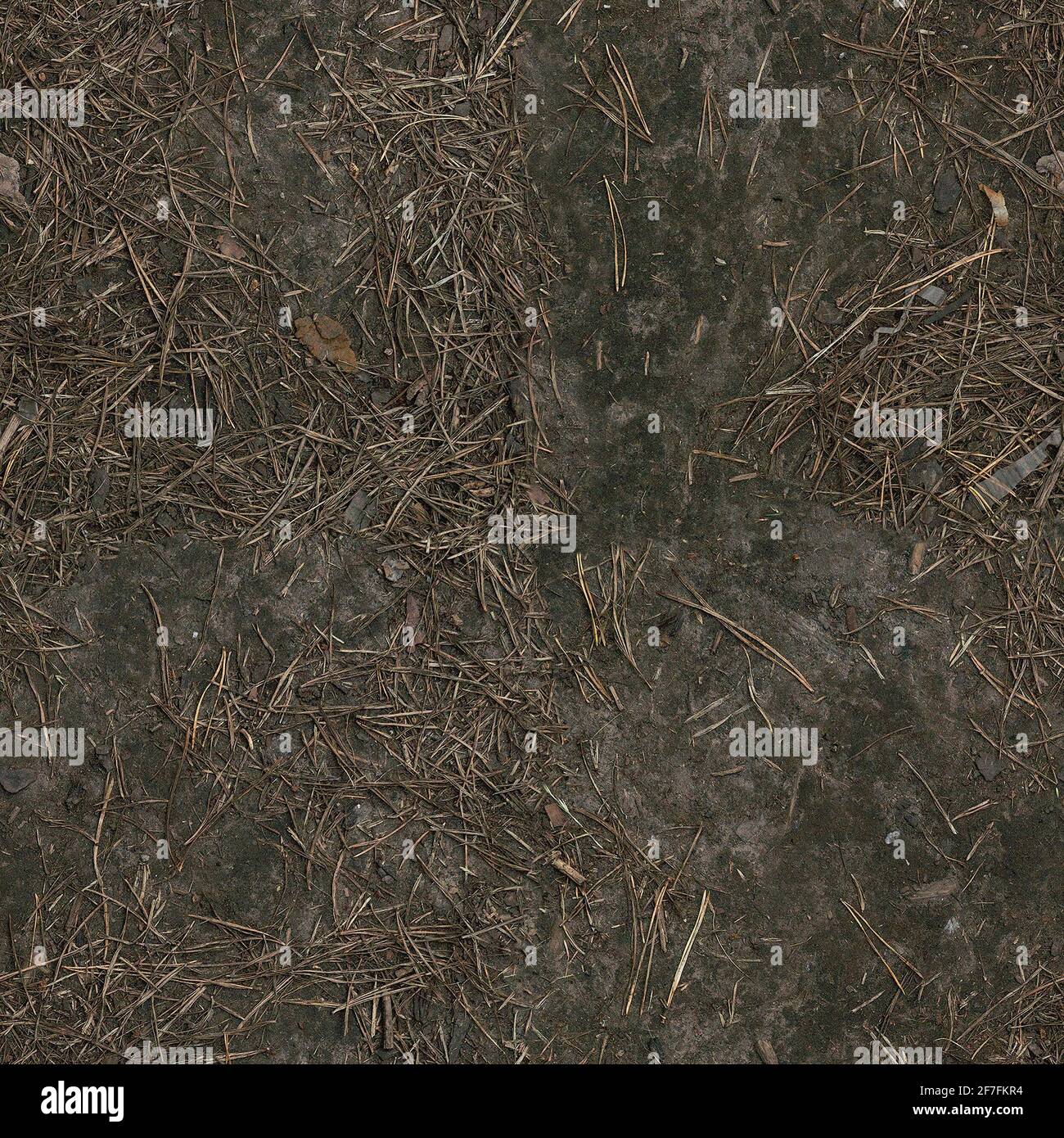 Seamless forest gravel dirty ground texture Stock Photo - Alamy