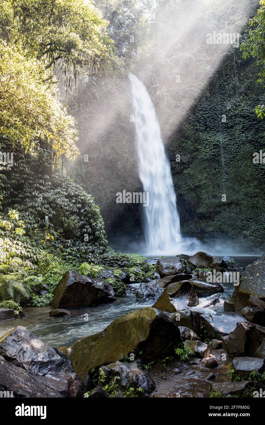Jungles rainforests sunset hi-res stock photography and images - Alamy