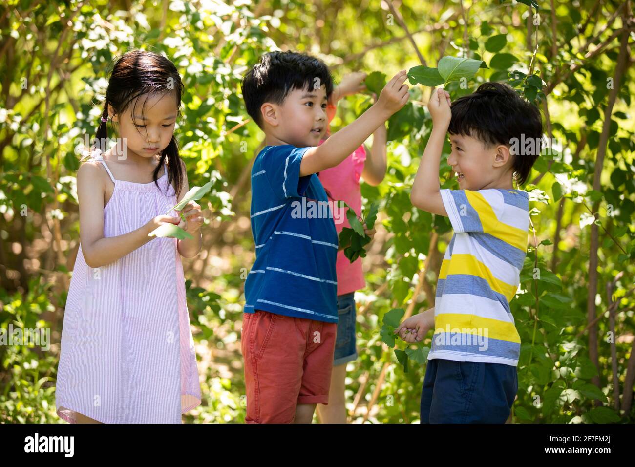 Happy children playing on meadow Stock Photo - Alamy