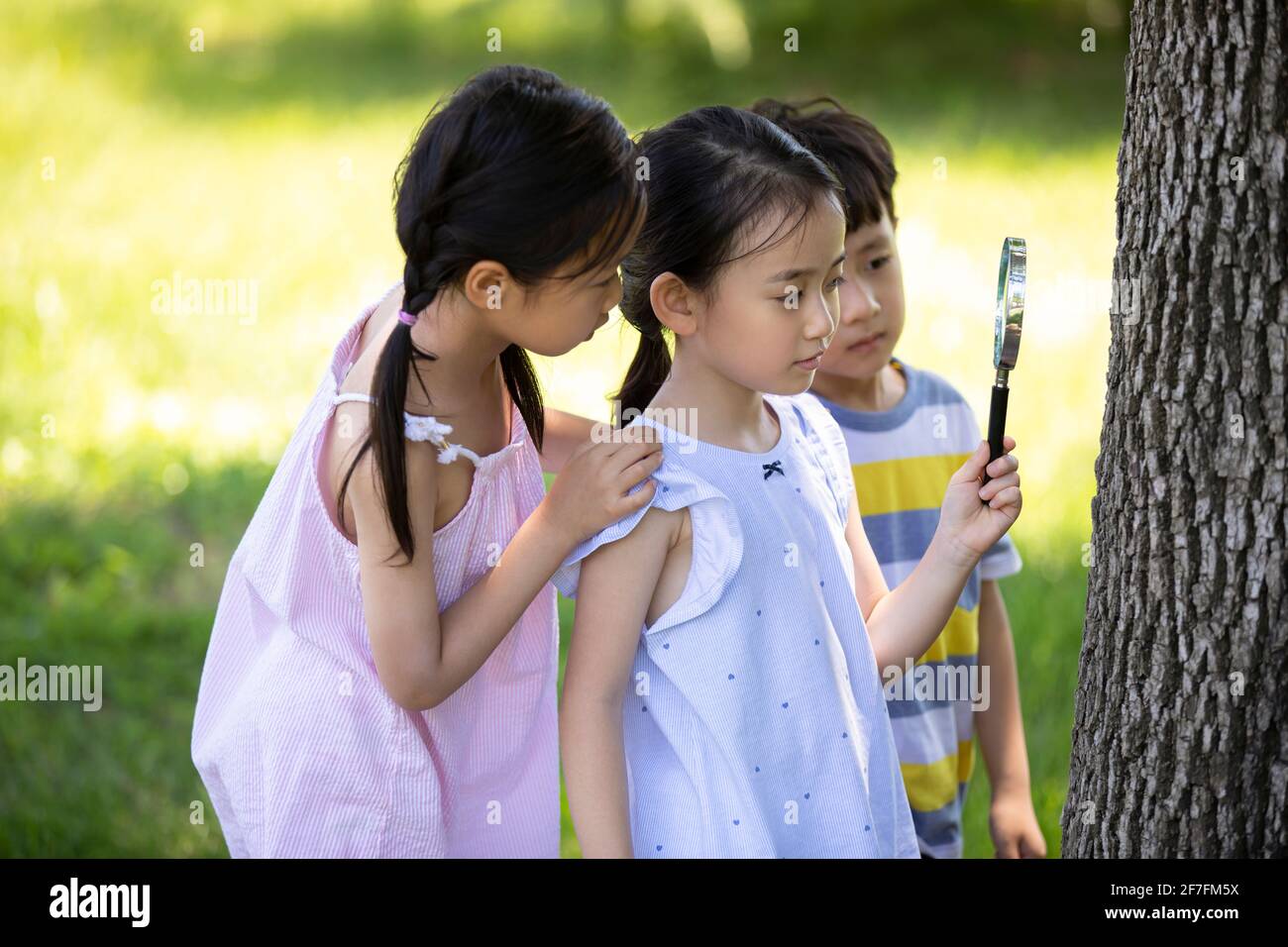 Happy children playing in park Stock Photo - Alamy