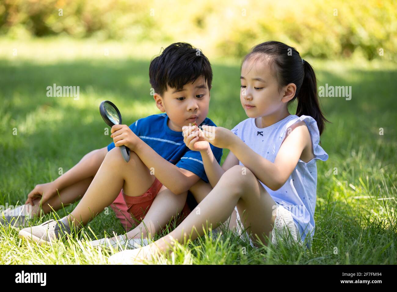 Happy children playing on meadow Stock Photo - Alamy