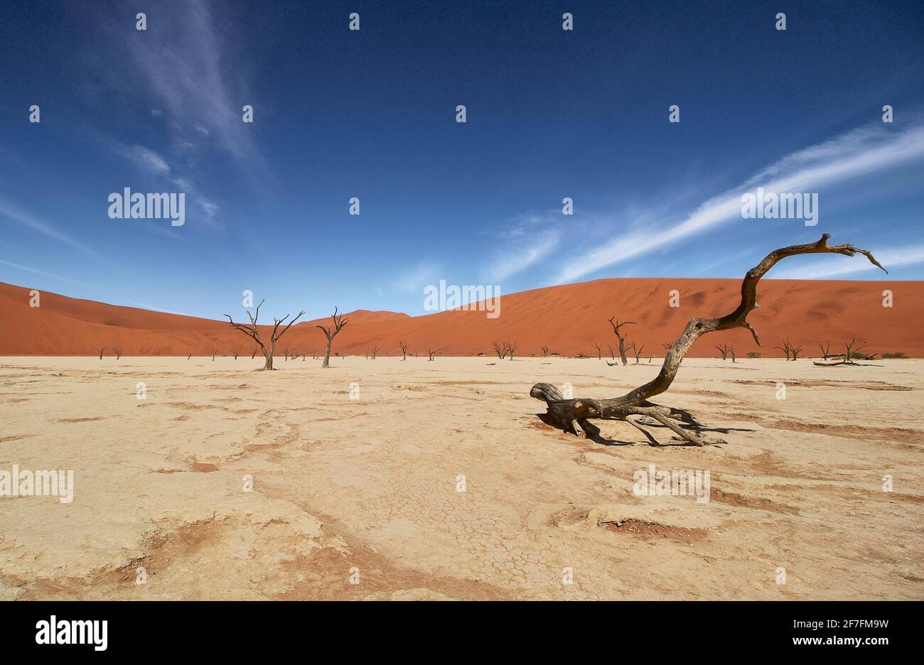 Deadvlei, near Sossusvlei, a dry lake with dead trees in the desert ...
