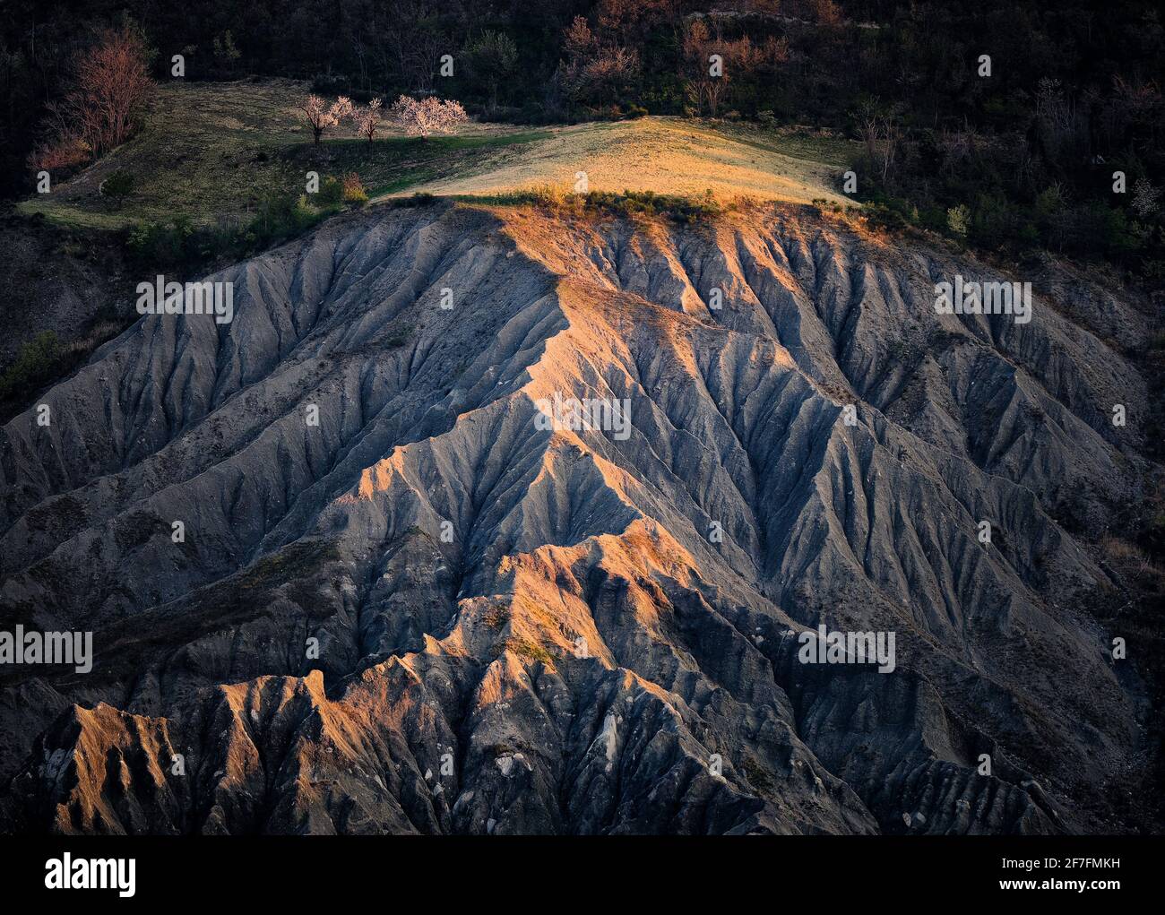 Badlands at sunrise with cherry tree in blossom, Emilia Romagna, Italy ...