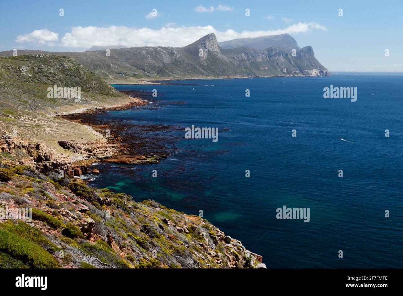 Cape Point Nature Reserve, False Bay, Western Cape, South Africa ...