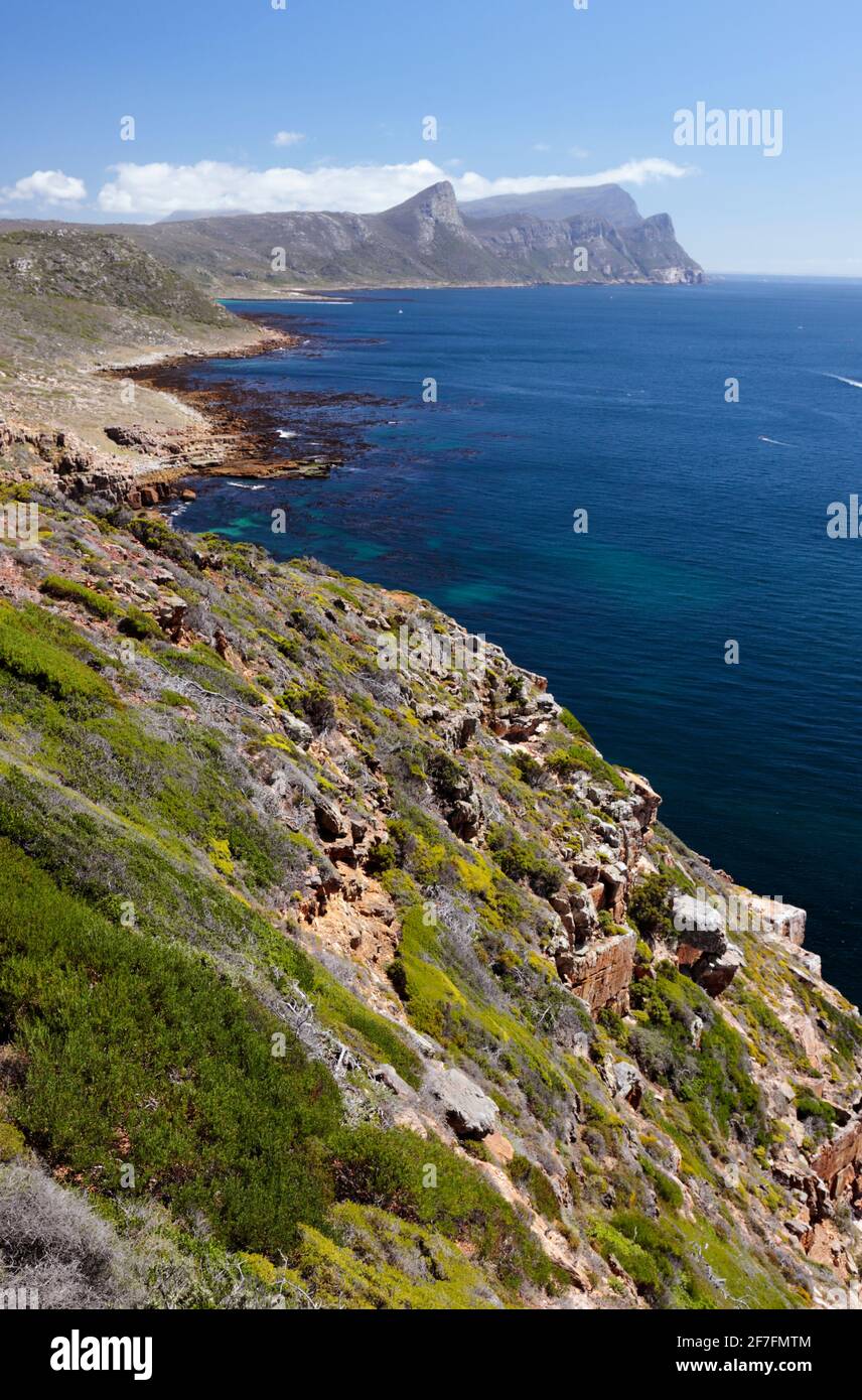 False bay nature reserve south africa hi-res stock photography and ...