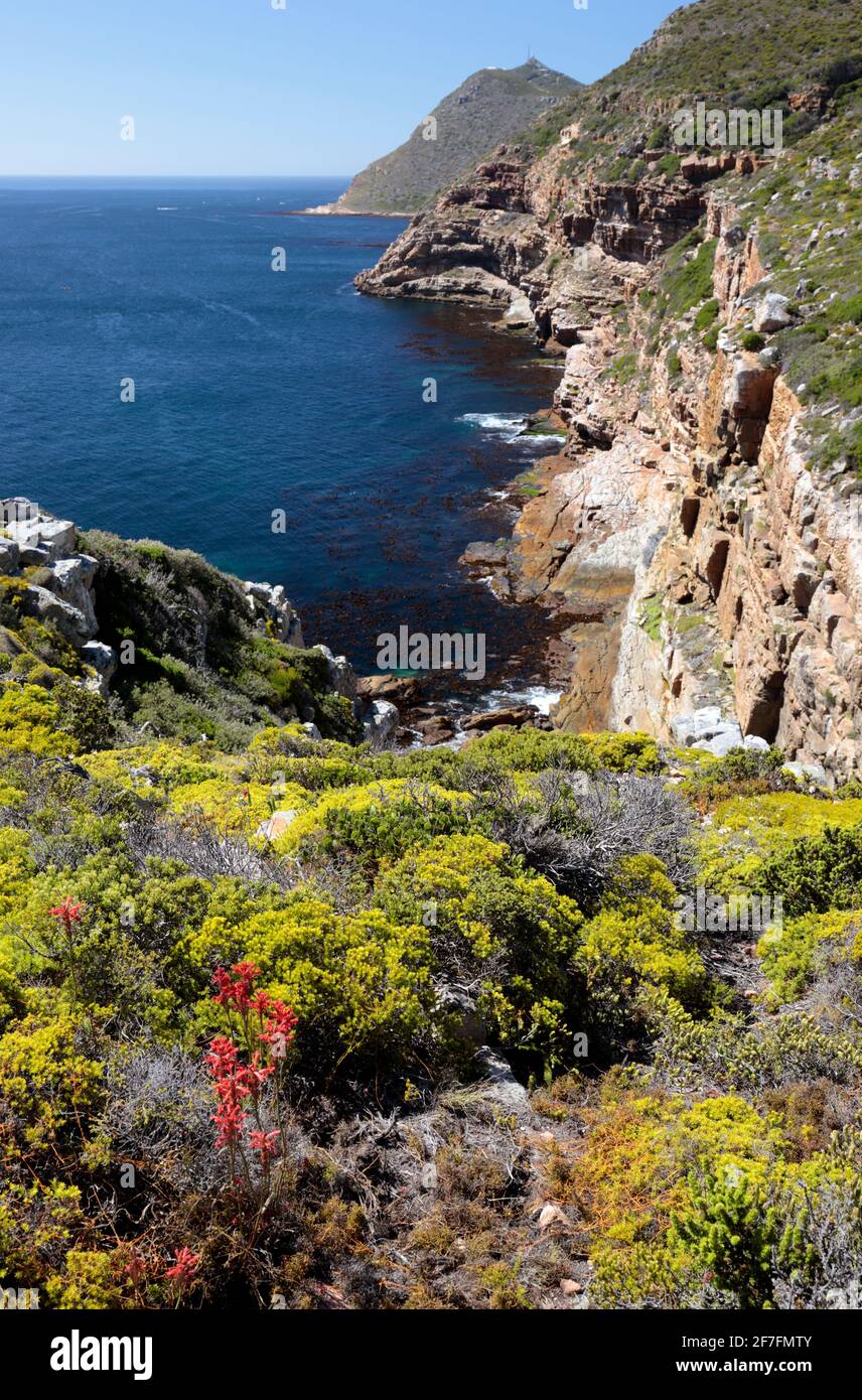 Cape Point Nature Reserve, False Bay, Western Cape, South Africa ...