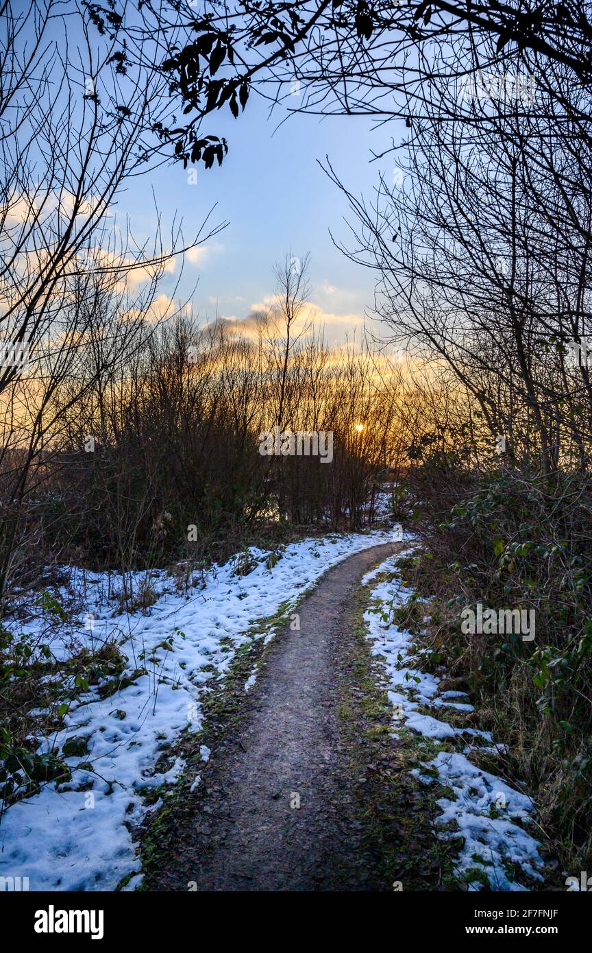 Chat moss hi-res stock photography and images - Alamy