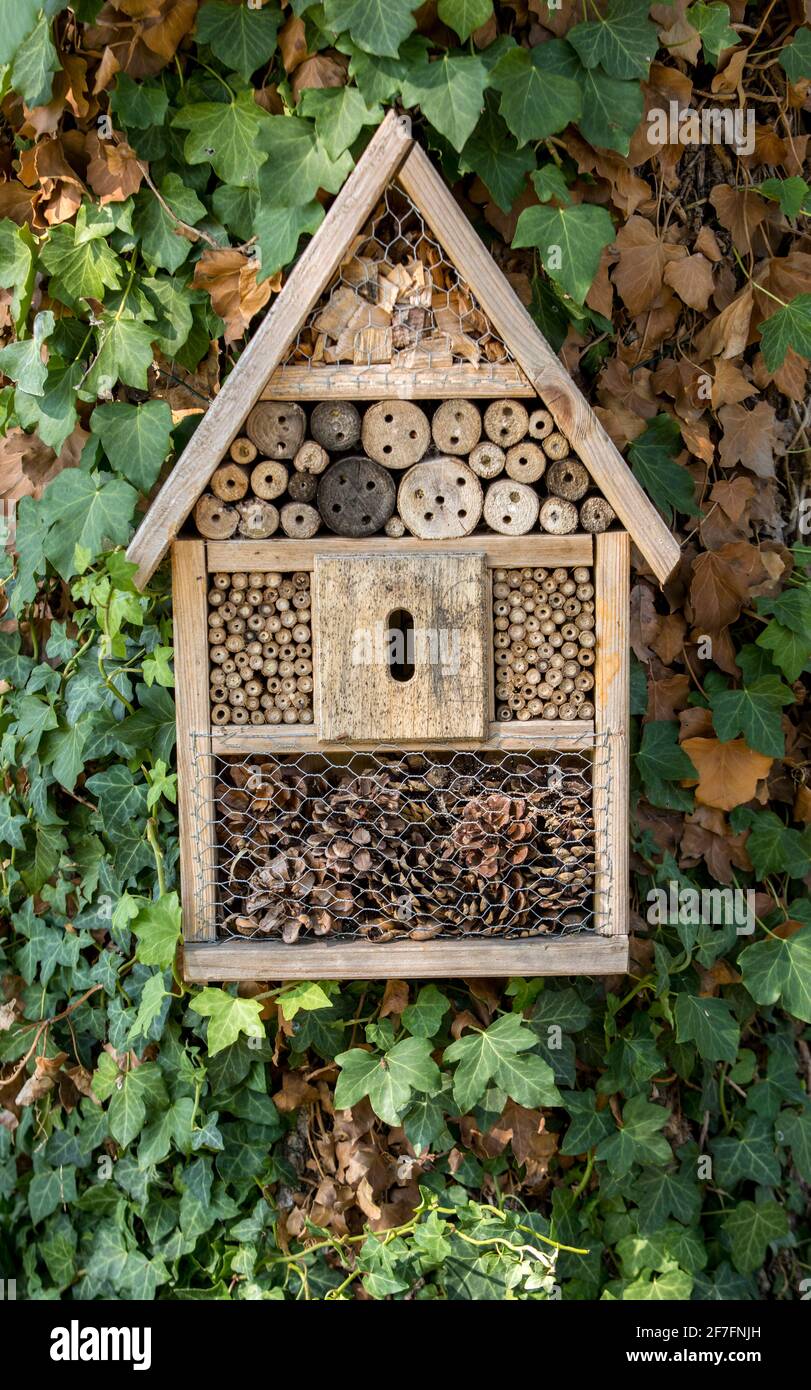 Small wooden house for insects in garden Stock Photo - Alamy