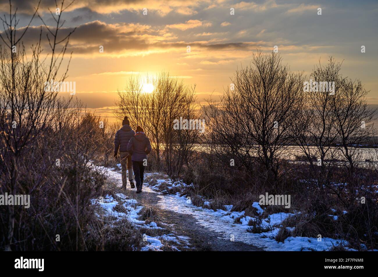 Chat moss hi-res stock photography and images - Alamy